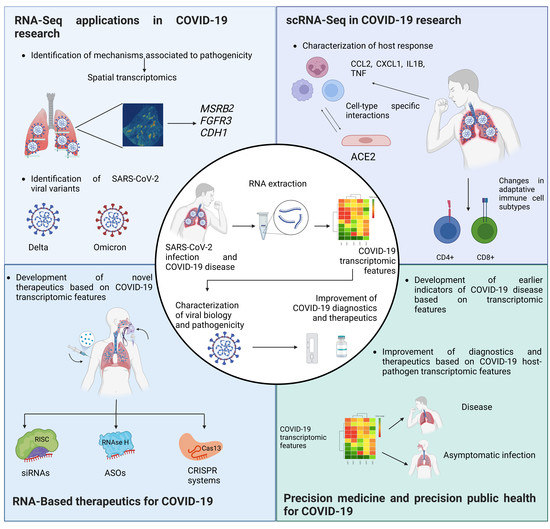 IJMS | Free Full-Text | Transcriptomics and RNA-Based Therapeutics as Potential Approaches to ...