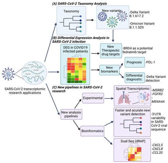 IJMS | Free Full-Text | Transcriptomics and RNA-Based Therapeutics as ...