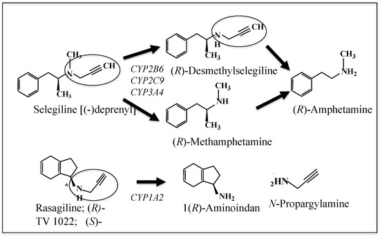 Neuroprotective Function of Rasagiline and Selegiline, Inhibitors of Type B Monoamine Oxidase ...