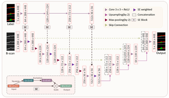 Automatic Segmentation of Laser-Induced Injury OCT Images Based on a Deep Neural Network Model
