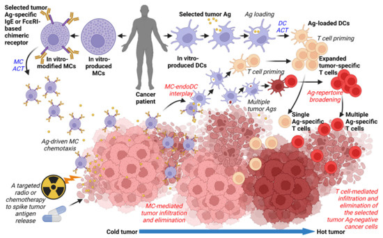 Mast Cells and Dendritic Cells as Cellular Immune Checkpoints in ...