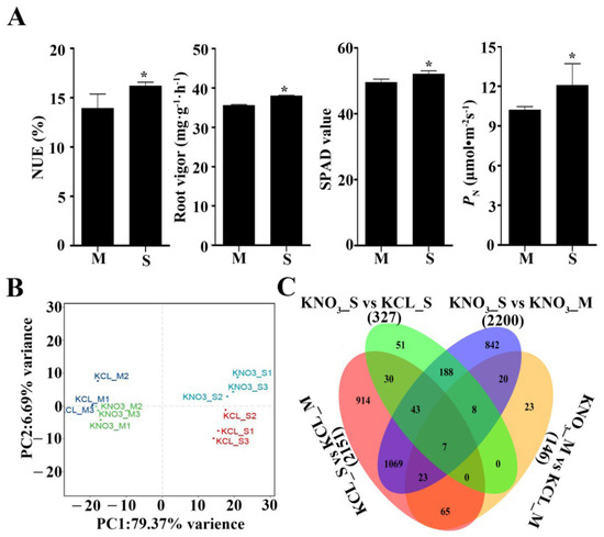 Comparative Transcriptome Analysis of Two Peach Rootstocks Uncovers the Effect of Gene ...