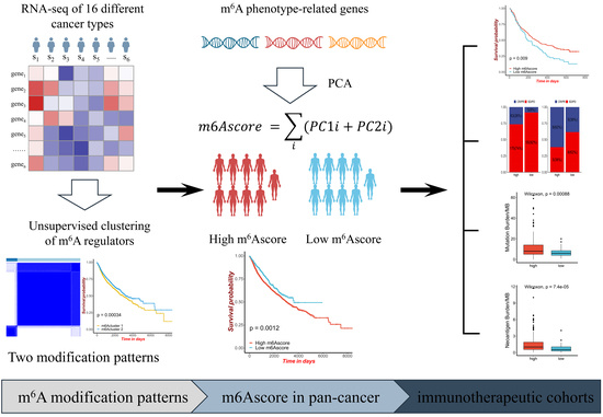 IJMS | Free Full-Text | Integrated Analyses of m6A Regulator-Mediated Methylation Modification ...