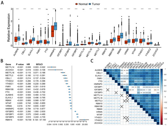 IJMS | Free Full-Text | Integrated Analyses of m6A Regulator-Mediated Methylation Modification ...