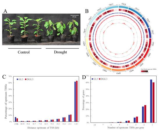 Integrating ATAC-seq and RNA-seq Reveals the Dynamics of Chromatin ...