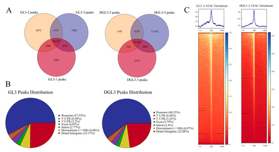 Integrating ATAC-seq and RNA-seq Reveals the Dynamics of Chromatin ...