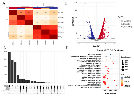 Integrating ATAC-seq and RNA-seq Reveals the Dynamics of Chromatin Accessibility and Gene ...