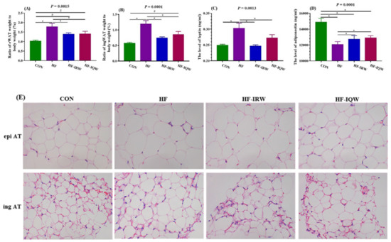 IJMS | Free Full-Text | Egg Protein Transferrin-Derived Peptides Irw ...