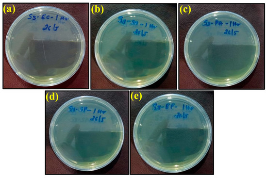IJMS | Free Full-Text | Comparative Experimental Investigation of Biodegradable Antimicrobial ...