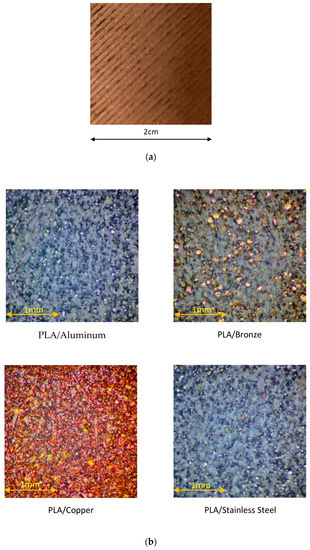 IJMS | Free Full-Text | Comparative Experimental Investigation of Biodegradable Antimicrobial ...