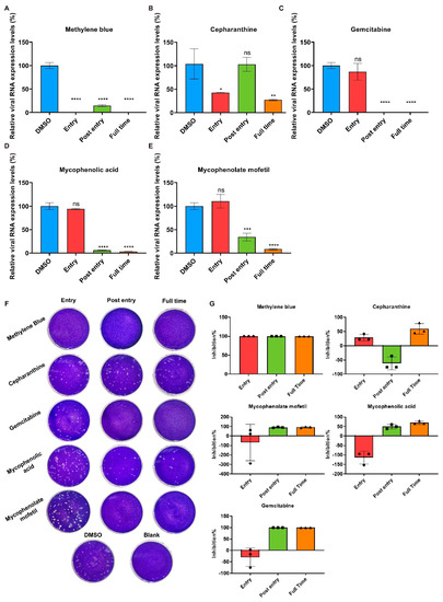 Antiviral Drugs Screening for Swine Acute Diarrhea Syndrome Coronavirus