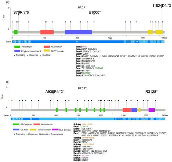 Germline Variants in 32 Cancer-Related Genes among 700 Chinese Breast ...