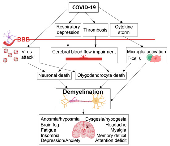 Role of Demyelination in the Persistence of Neurological and Mental ...