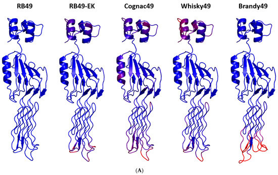 RB49-like Bacteriophages Recognize O Antigens as One of the Alternative Primary Receptors