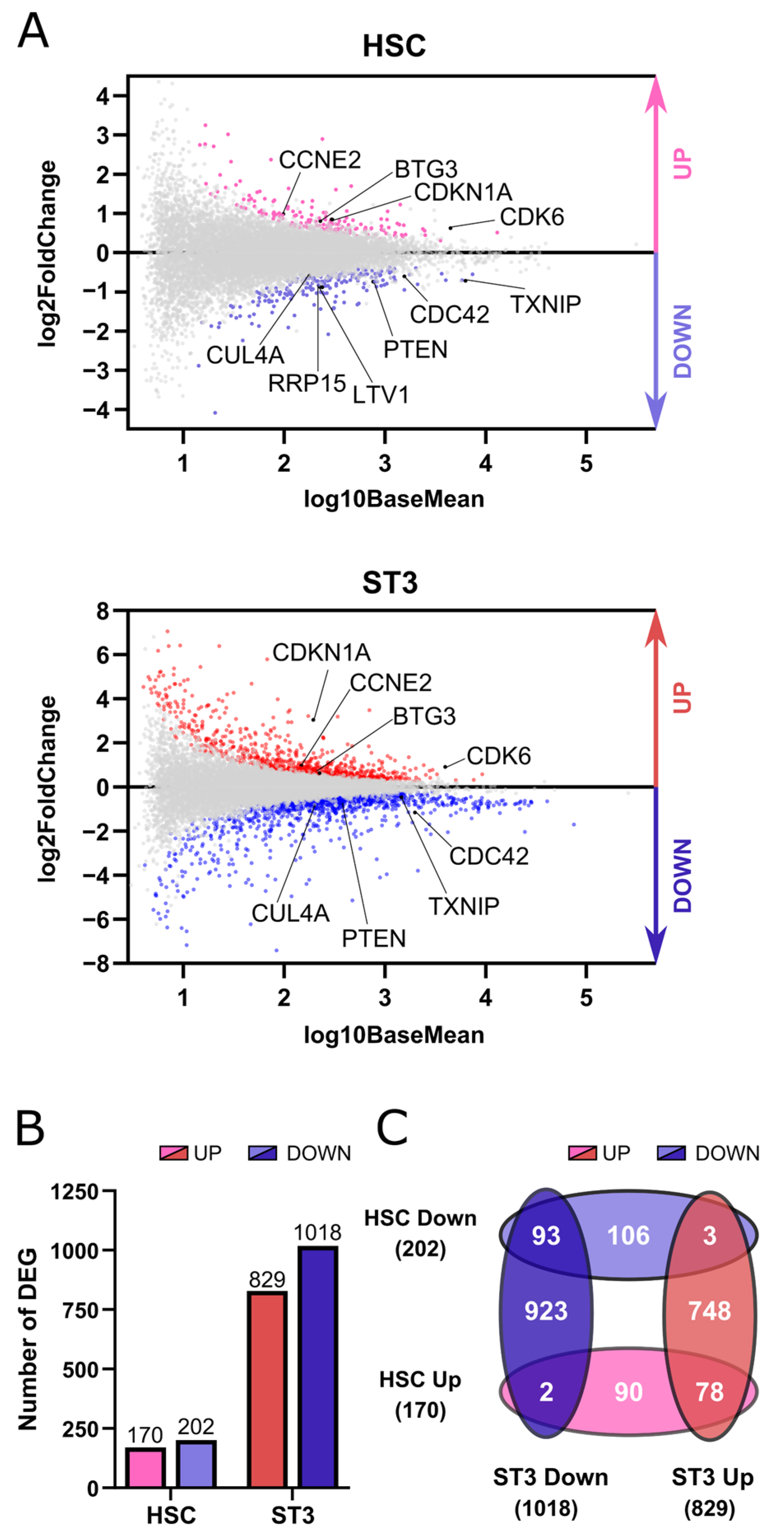 IJMS | Free Full-Text | TXNIP Promotes Human NK Cell Development but Is ...