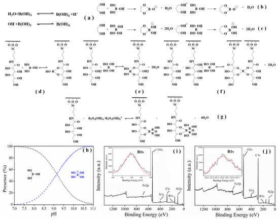 Magnetic Separation of Oxoacid of Boron from Salt-Lake Brine by ...