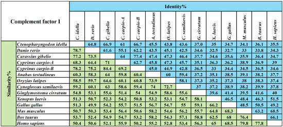 IJMS | Free Full-Text | Functional and Expressional Analyses Reveal the ...