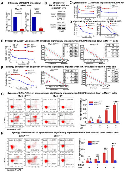 Targeting EZH2 Promotes Chemosensitivity of BCL-2 Inhibitor through ...