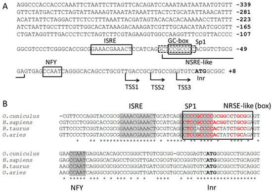 SP1 and NFY Regulate the Expression of PNPT1, a Gene Encoding a ...