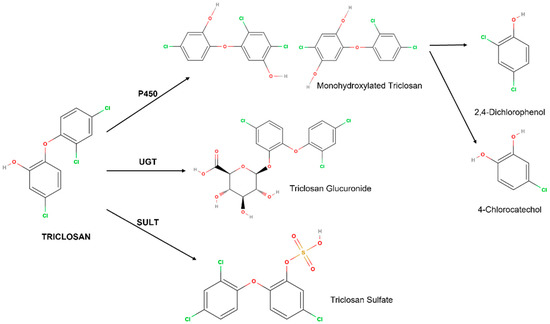 Triclosan and Its Consequences on the Reproductive, Cardiovascular and ...
