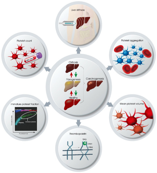 Platelets as a Gauge of Liver Disease Kinetics?