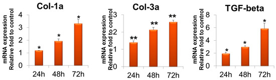 IJMS | Free Full-Text | Apoptotic Body-Rich Media from Tenocytes ...