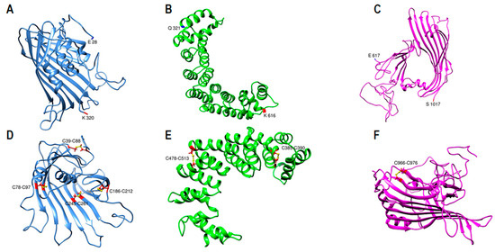 A New Structural Model of Apolipoprotein B100 Based on Computational Modeling and Cross Linking