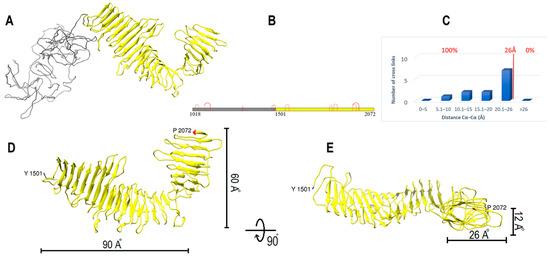A New Structural Model of Apolipoprotein B100 Based on Computational Modeling and Cross Linking