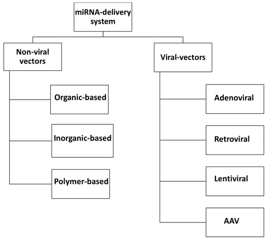 miRNA: A Promising Therapeutic Target in Cancer