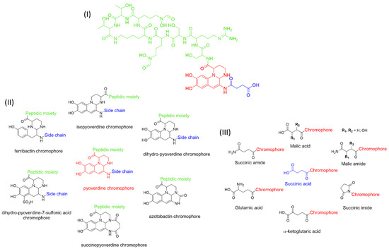 Novel Insights on Pyoverdine: From Biosynthesis to Biotechnological ...