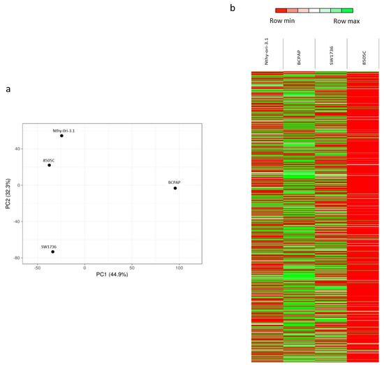 Role of m6A RNA Methylation in Thyroid Cancer Cell Lines