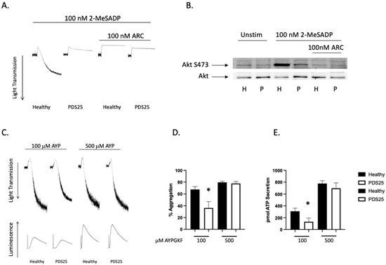 D121 Located within the DRY Motif of P2Y12 Is Essential for P2Y12 ...