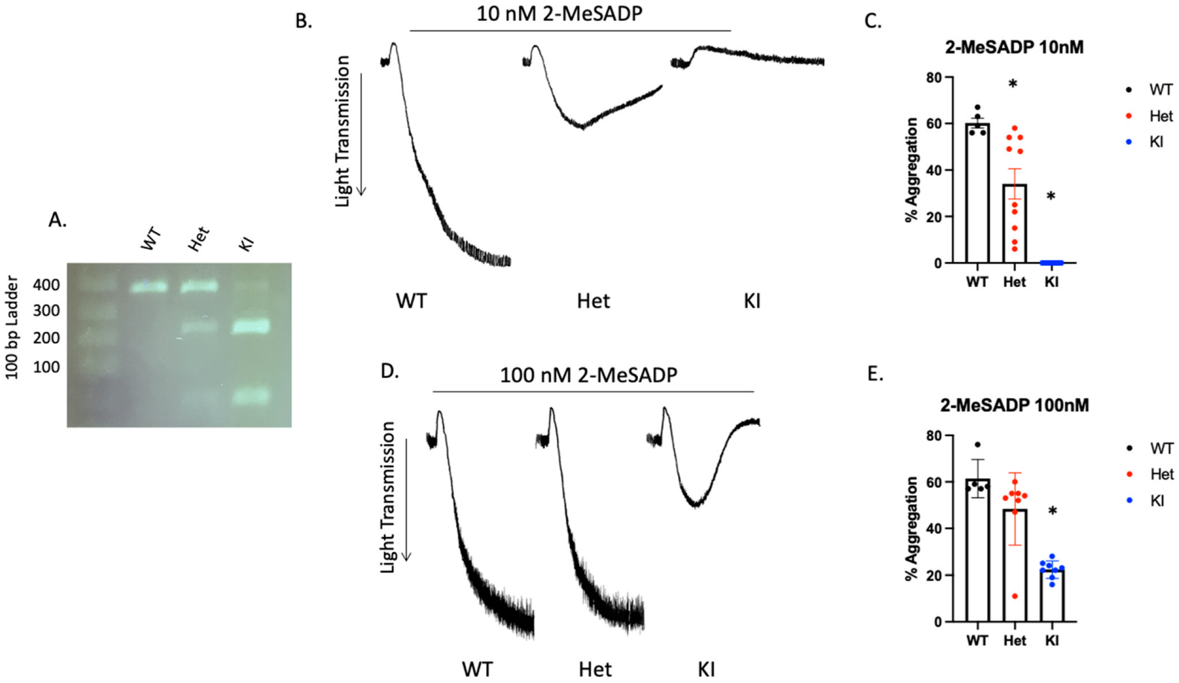 D121 Located within the DRY Motif of P2Y12 Is Essential for P2Y12 ...