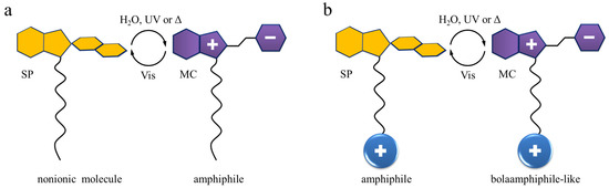 Spiropyran/Merocyanine Amphiphile in Various Solvents: A Joint ...