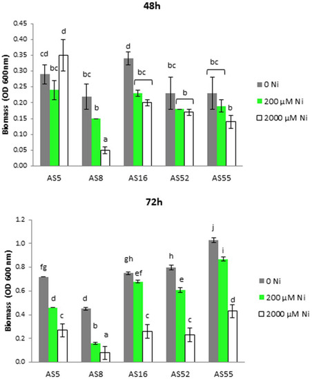 Potential of Rhizobia Nodulating Anthyllis vulneraria L. from ...