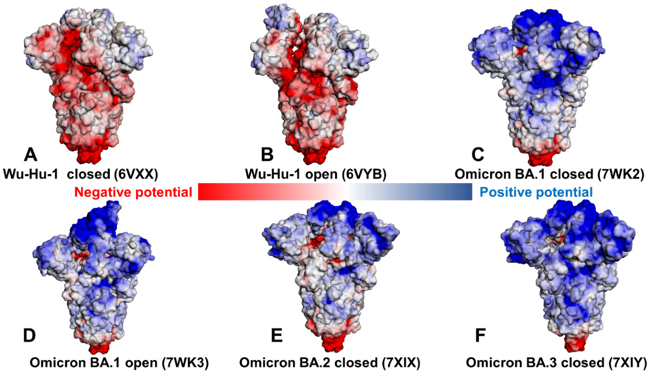 Probing Mechanisms of Binding and Allostery in the SARS-CoV-2 Spike Omicron Variant Complexes ...