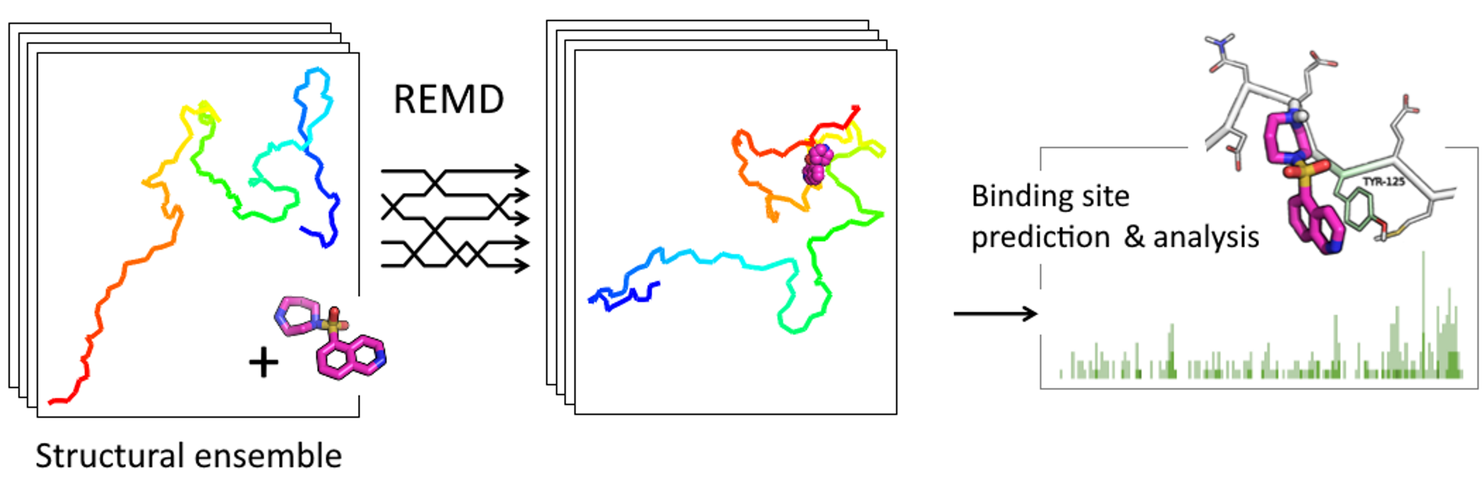 IJMS | Free Full-Text | REMD Simulations of Full-Length Alpha-Synuclein ...