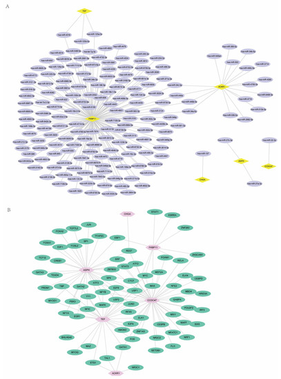 IJMS | Free Full-Text | Gene Signatures Associated with Temporal Rhythm ...