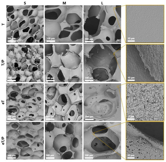 Study on βTCP/P(3HB) Scaffolds—Physicochemical Properties and ...