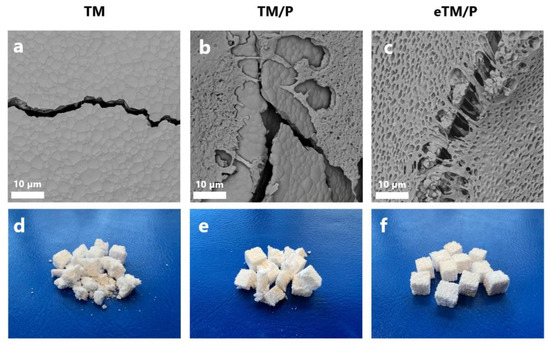 Study on βTCP/P(3HB) Scaffolds—Physicochemical Properties and ...