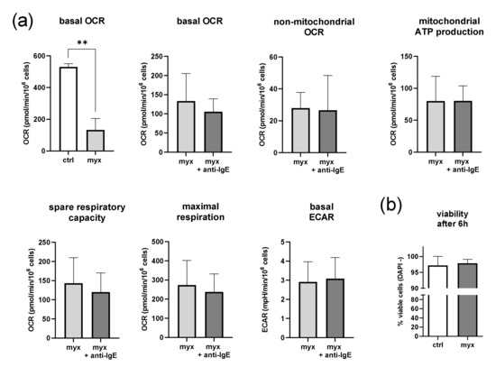 IJMS | Free Full-Text | Inhibition of Complex I of the Respiratory Chain, but Not Complex III ...