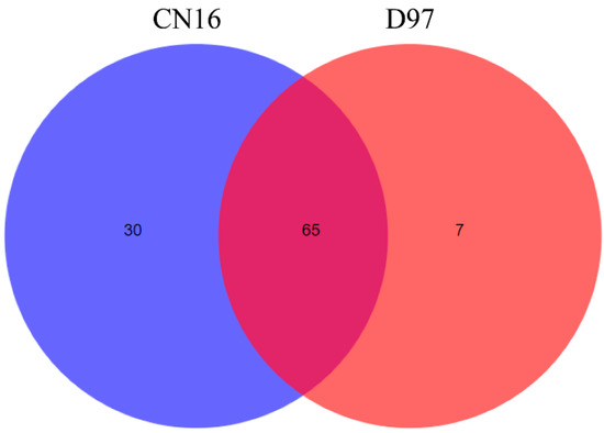 Genome-Wide Survey and Functional Verification of the NAC Transcription ...
