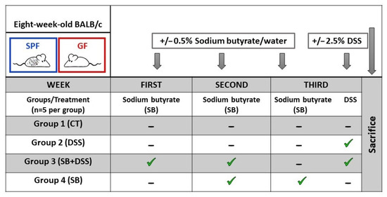 Effect of DSS-Induced Ulcerative Colitis and Butyrate on the Cytochrome ...