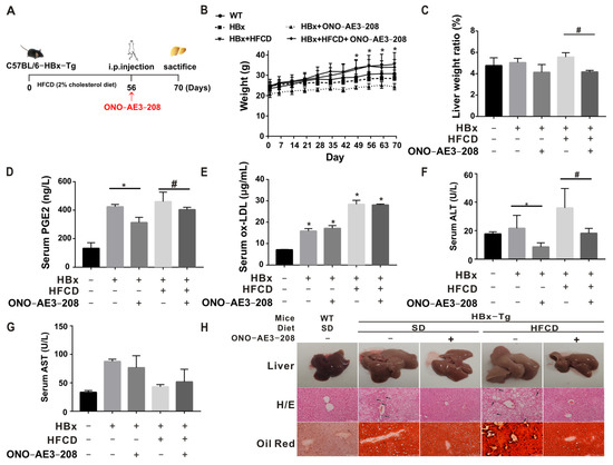 Hepatocyte-Derived Prostaglandin E2-Modulated Macrophage M1-Type ...
