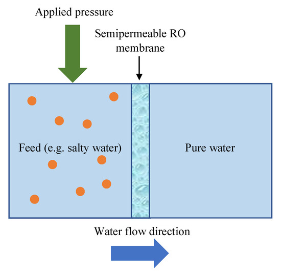 The Application of Cellulose Acetate Membranes for Separation of Fermentation Broths by the ...