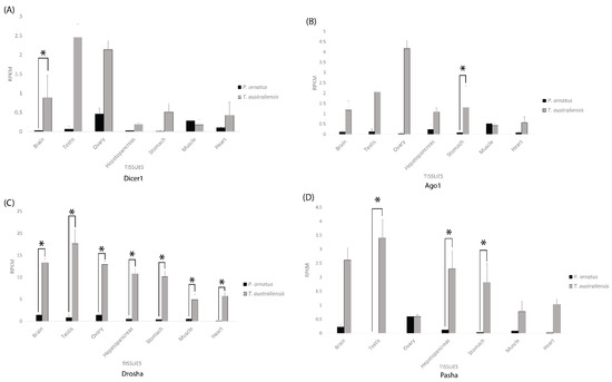 A Tale of Two Lobsters—Transcriptomic Analysis Reveals a Potential Gap ...