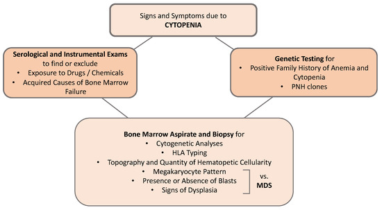 Aplastic Anemia as a Roadmap for Bone Marrow Failure: An Overview and a ...