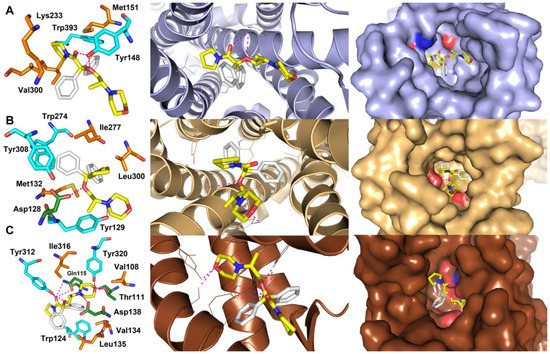 Chemoenzymatic Synthesis of Optically Active Ethereal Analog of iso ...