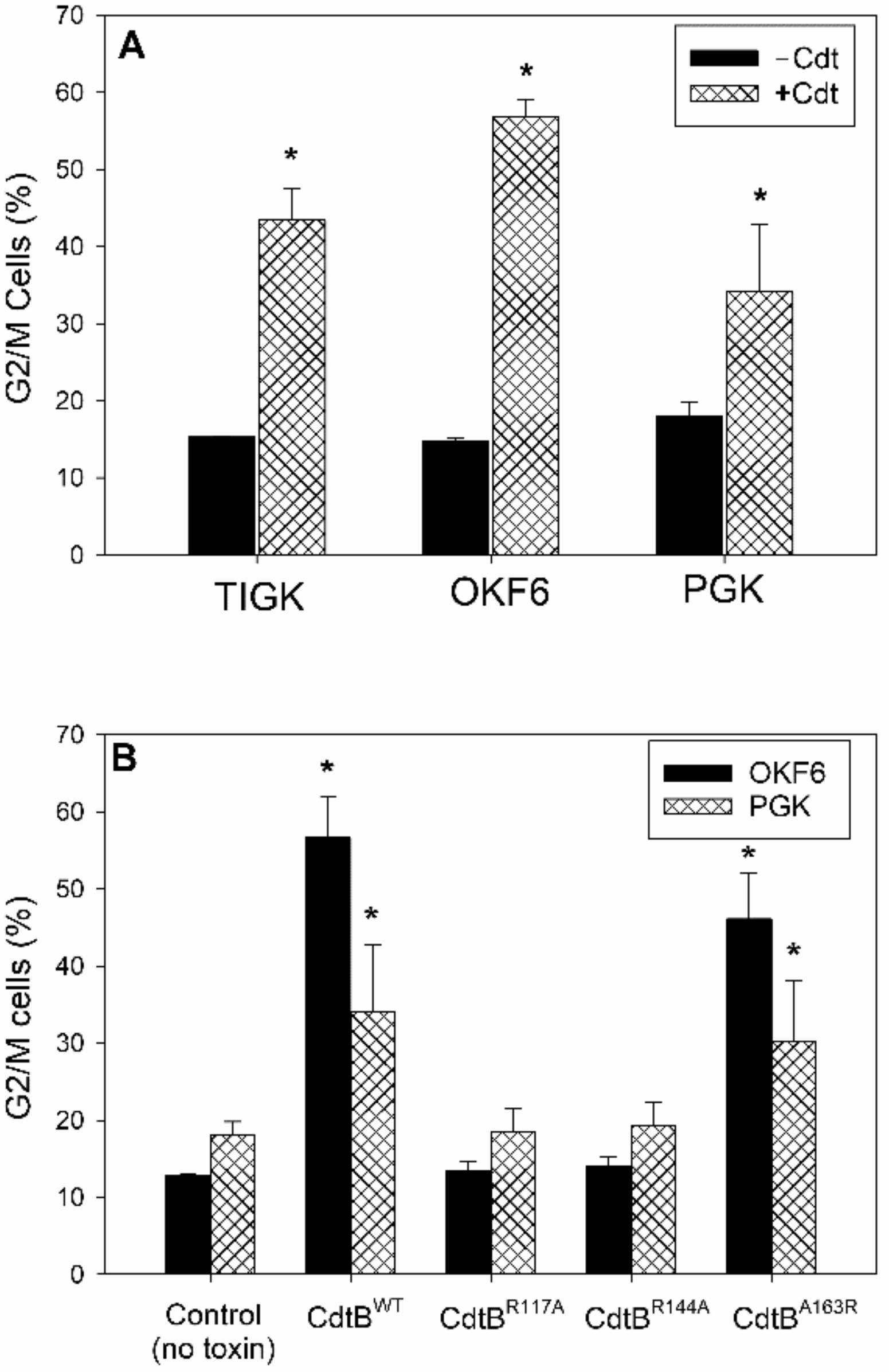 Aggregatibacter actinomycetemcomitans Cytolethal Distending Toxin ...