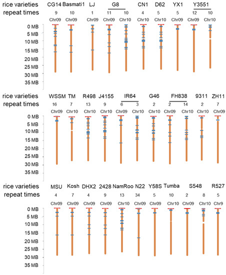 IJMS | Free Full-Text | Sequencing and Genomic Analysis of Sorghum DNA ...